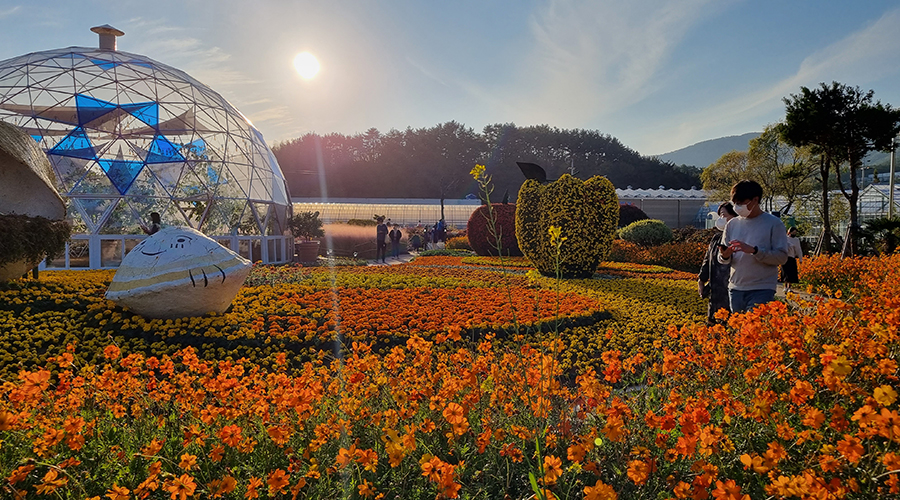 거제관광문화 즐거운축제 > 거제섬꽃축제 > 상세보기